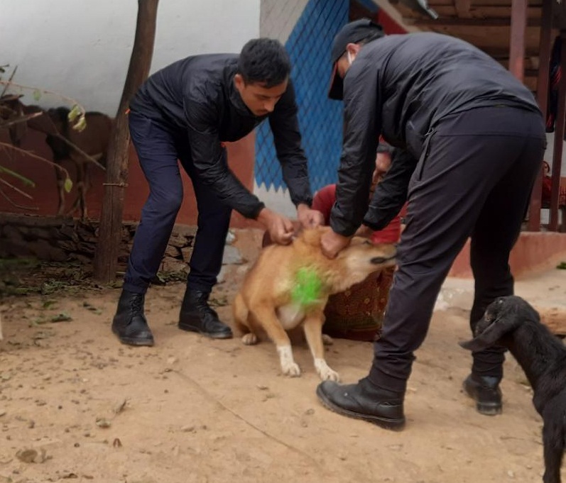 Nepal Animal Welfare and Research Center